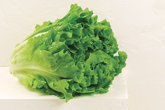 Escarola - Panelinha